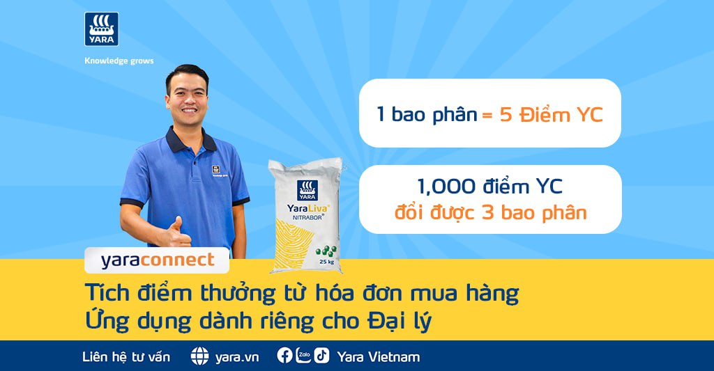 Đại Lý Tải Ứng Dụng YaraConnect Để Đổi Thưởng Năm 2025 | Yara Việt Nam